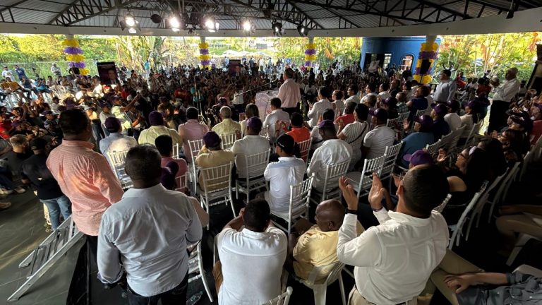 Dice para vencer a PRM, el PLD necesitará “jinete pura sangre ...